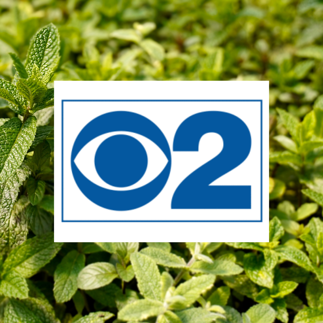 CBS2 Chicago and Jamaica Ponder Join Chef Devon Quinn at our On-Site ...